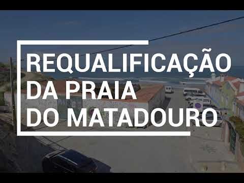 Desvendando o Matadouro Regional de Mafra: Tradição e Sustentabilidade ...